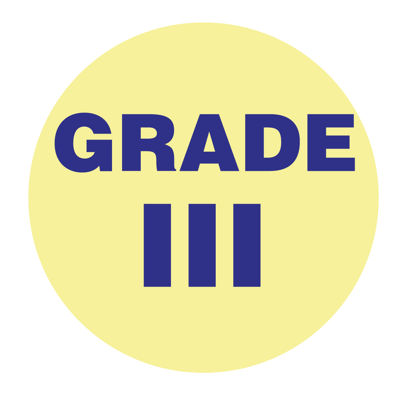 Grade III - In-Gauge Ltd Dapol Spares & Repairs